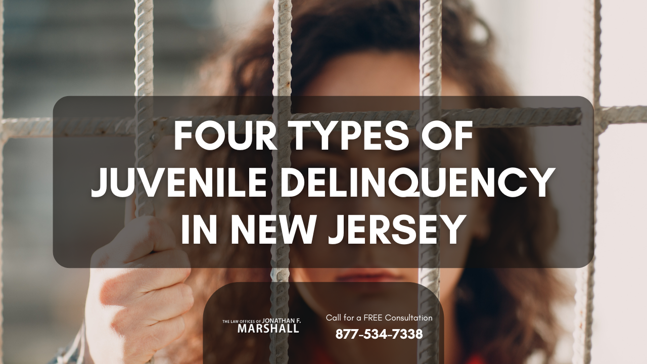 Four Types of Juvenile Delinquency in New Jersey